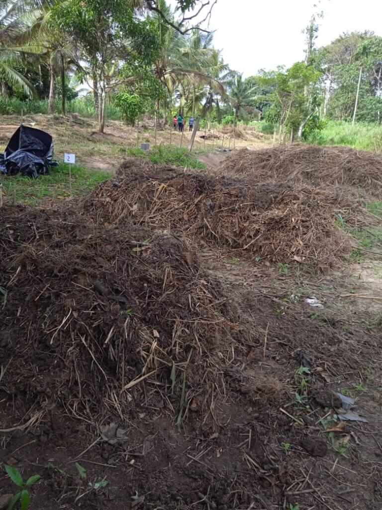 Economic Impact of Organic Agriculture on Smallholder Farmers in Sri ...