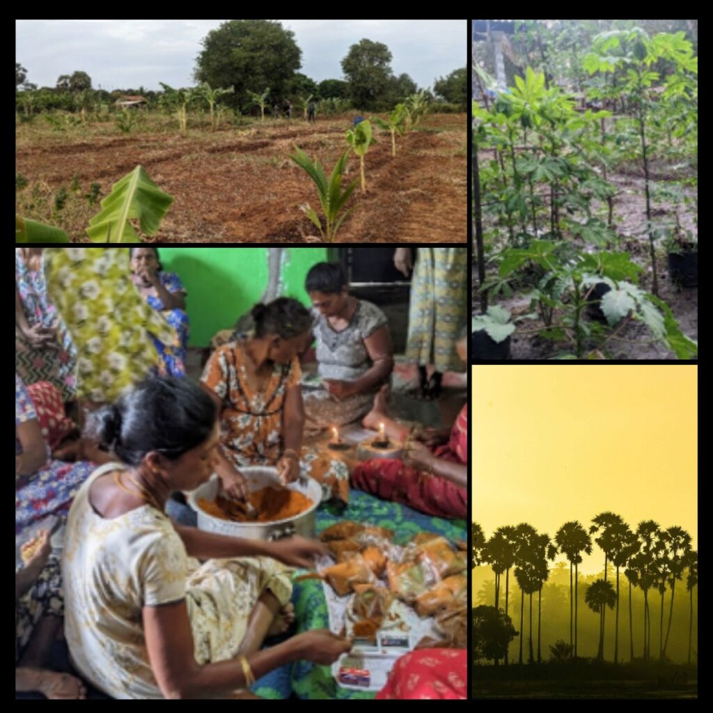 Water for Sustainability: A Transformative Project for Poosarikulam and ...